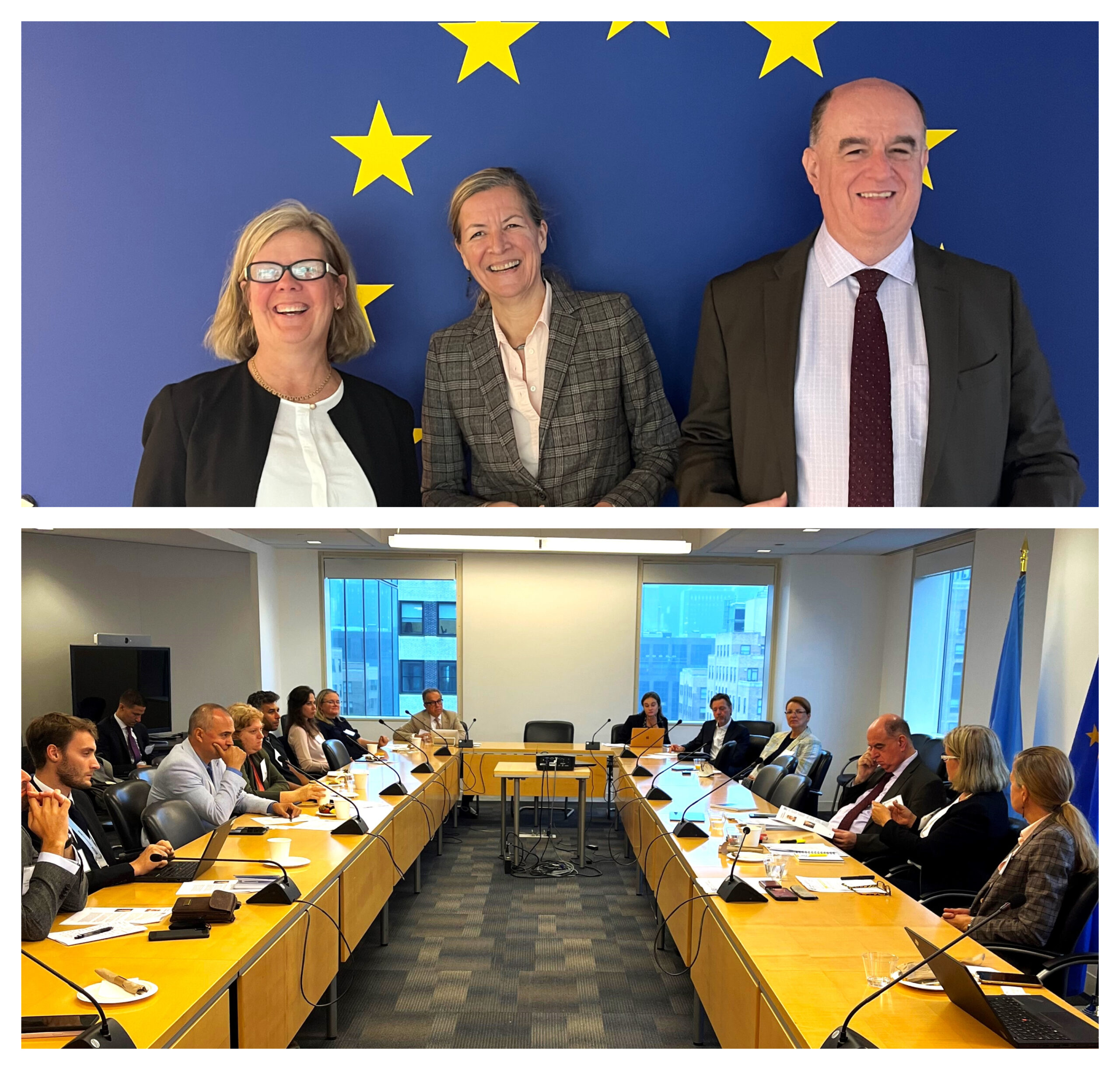 Highlights of Past Events 2022 | European American Chamber of Commerce ...